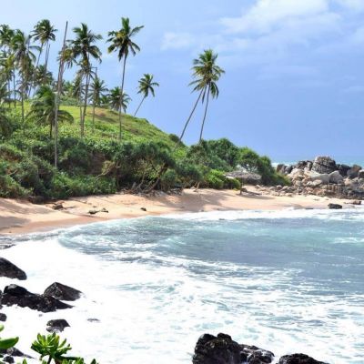 Niyana Wella Beach 🏖️ Sri Lanka - caractéristiques détaillées, carte ...