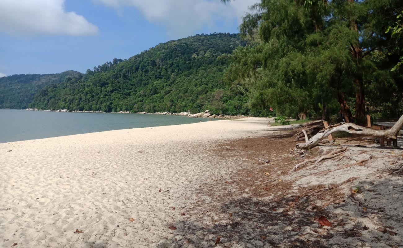 Toutes les plages de Île de Penang sur la carte avec des photos et des ...
